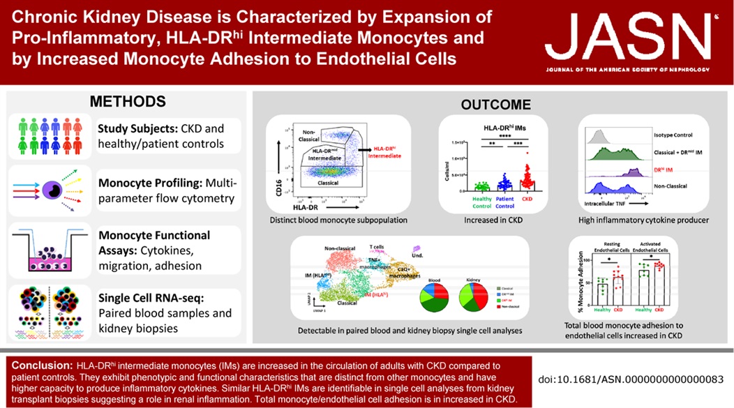 Our Research - MALONE LAB
